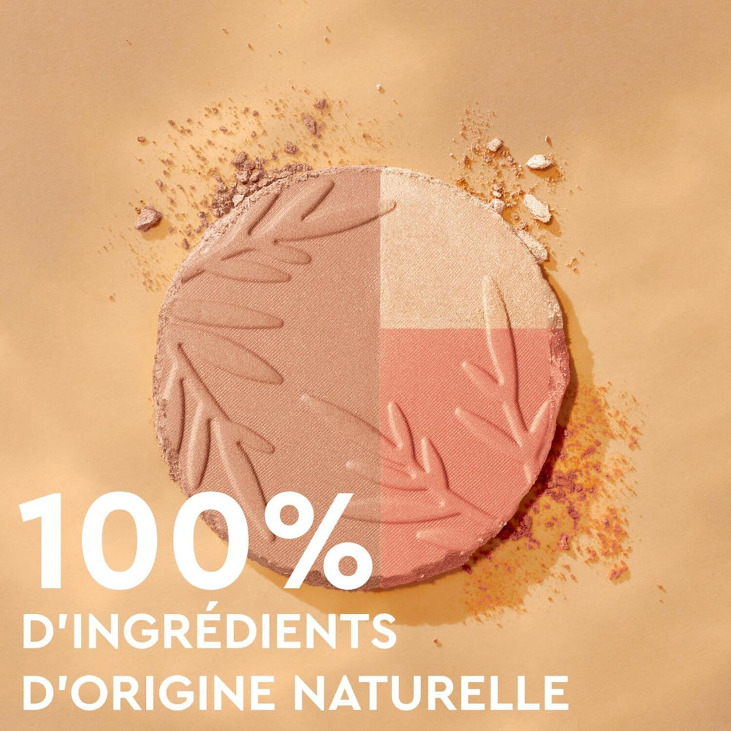 La Poudre d'Eclat l'Instant Doré, Poudre 3-en-1 8 g - La Provençale Bio ...