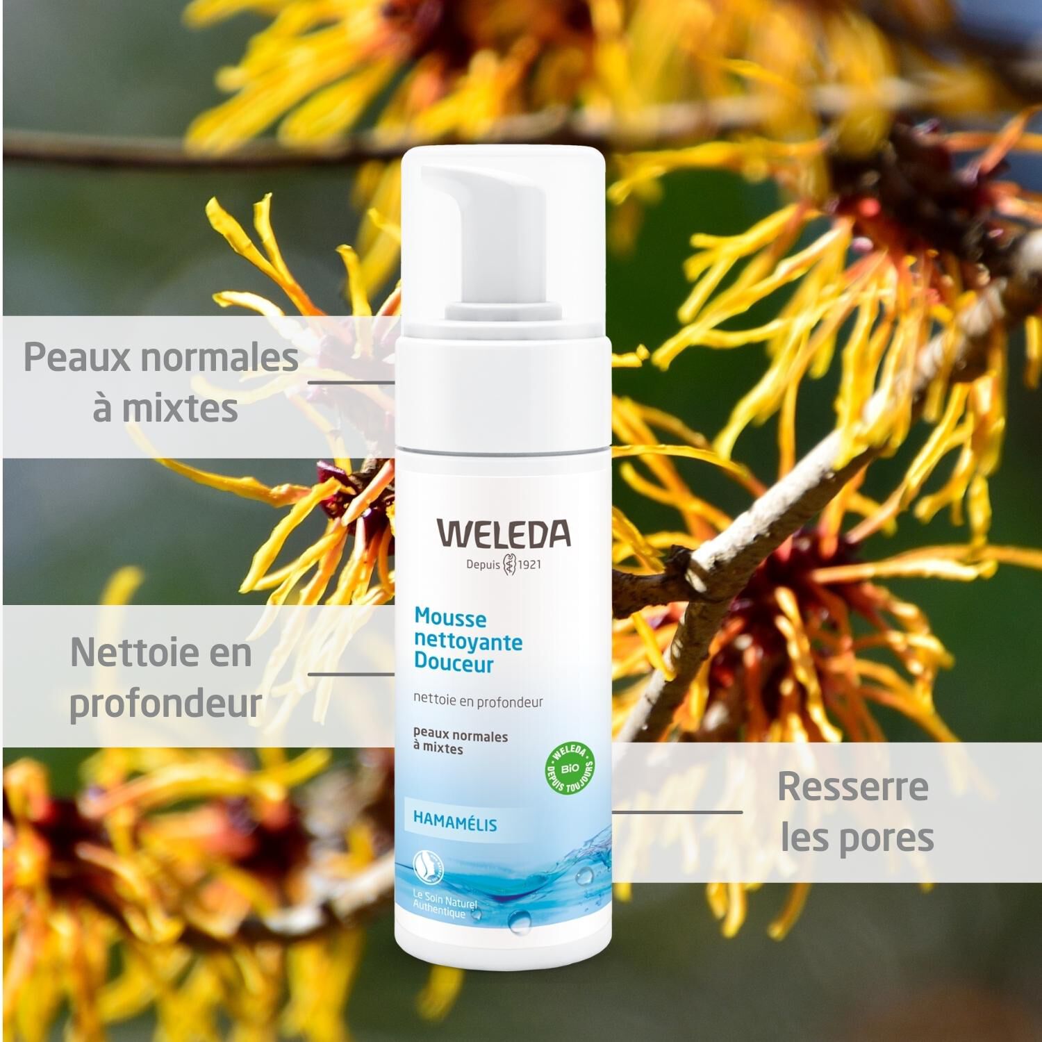 Hamamélis, Mouse Nettoyante Douceur - Peaux Normales à Mixtes - 150 ml ...
