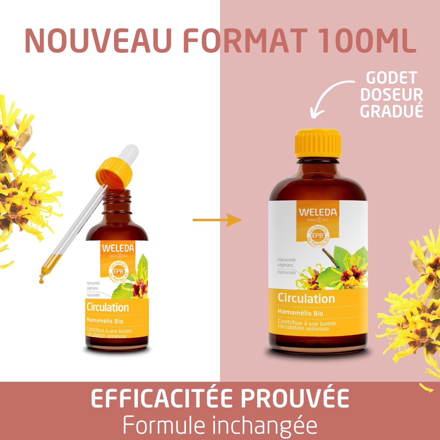 EPB® Hamamélis Bio - Circulation, Complément Alimentaire 100 ml ...