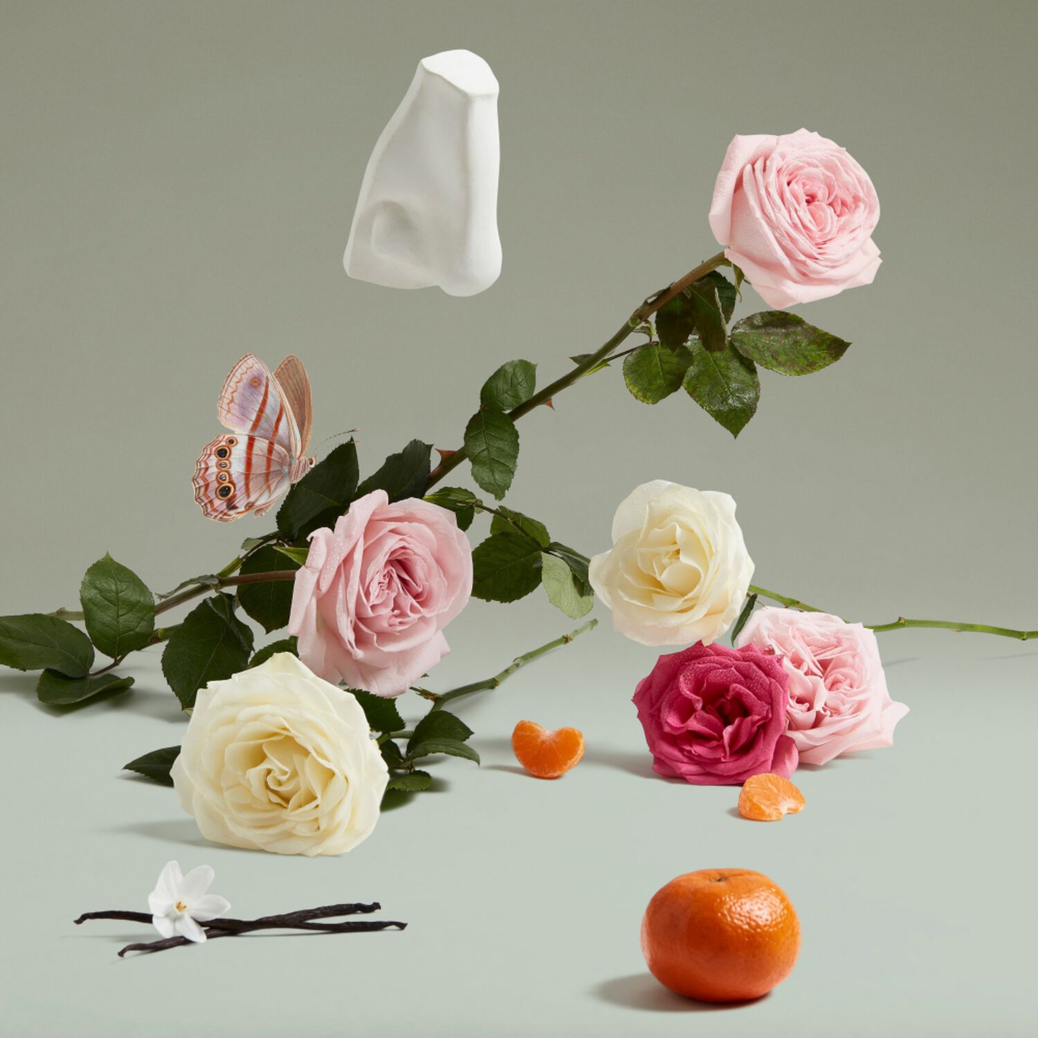 The Coveted Duchess Rose, Eau de Parfum 75 ml - Penhaligon's ...