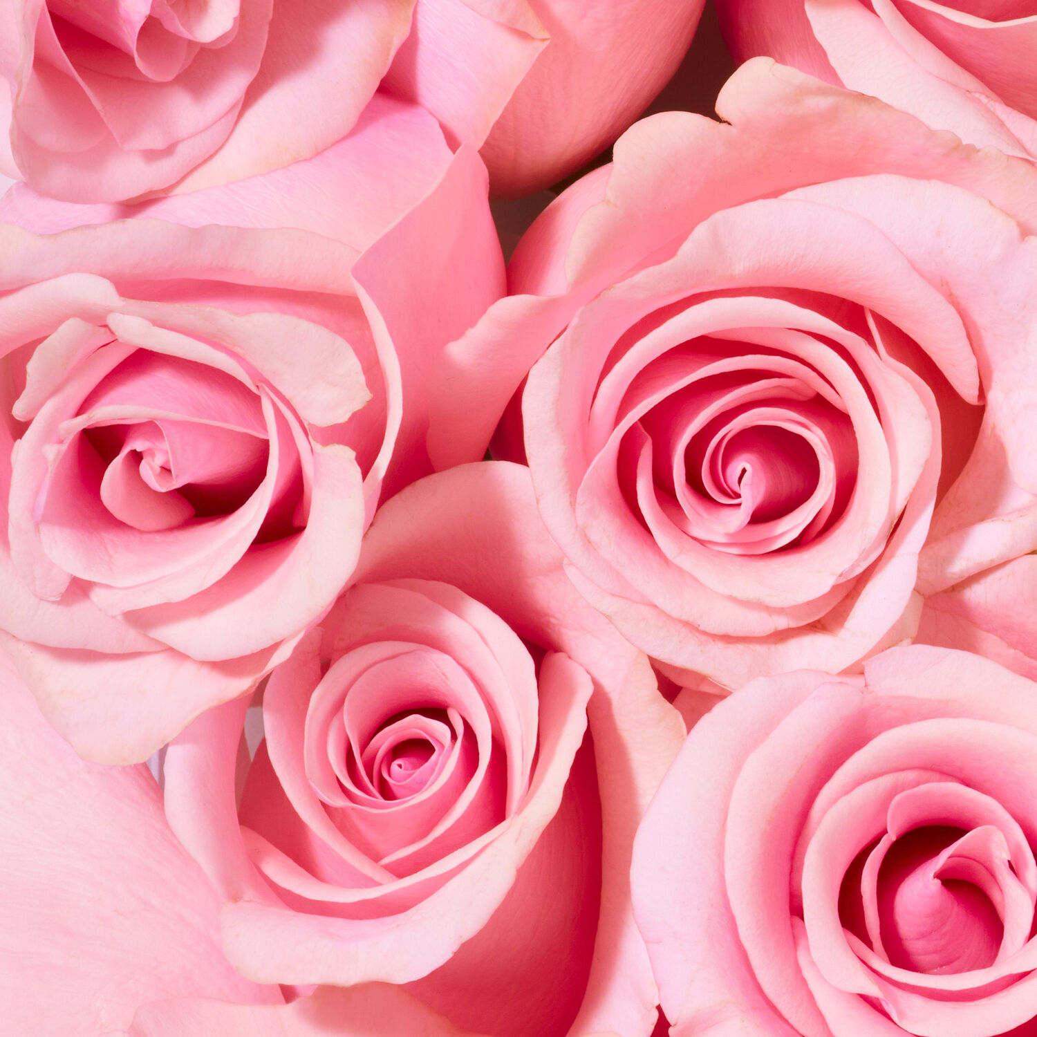 Very Rose, Gelée de Douche Apaisante Very Rose 750ml - Nuxe ...