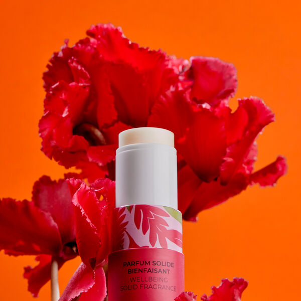 Gingembre Rouge, Parfum Solide Bienfaisant - Roger&gallet | MyOrigines ...