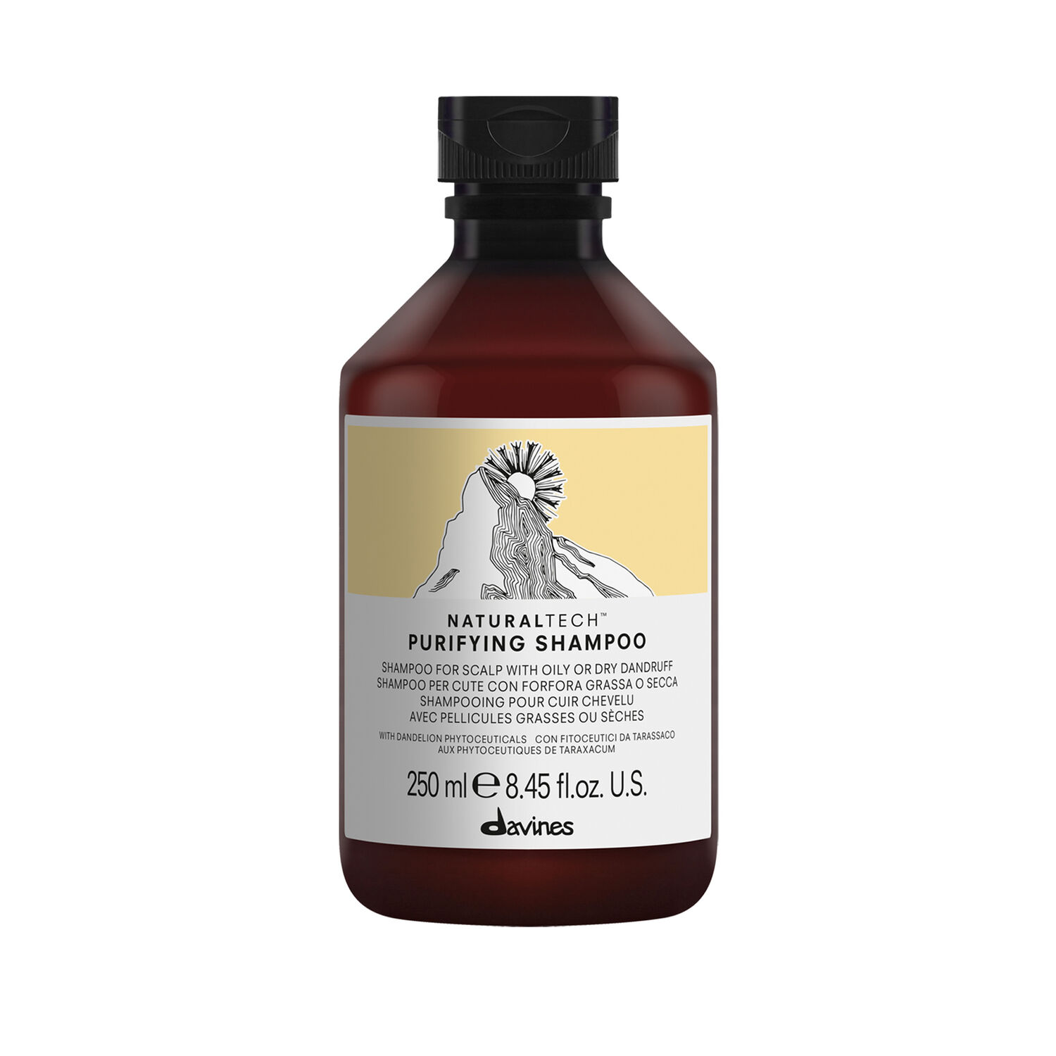 Purifying Shampoo, Shampooing Anti-Pelliculaire 250 ml - Davines ...