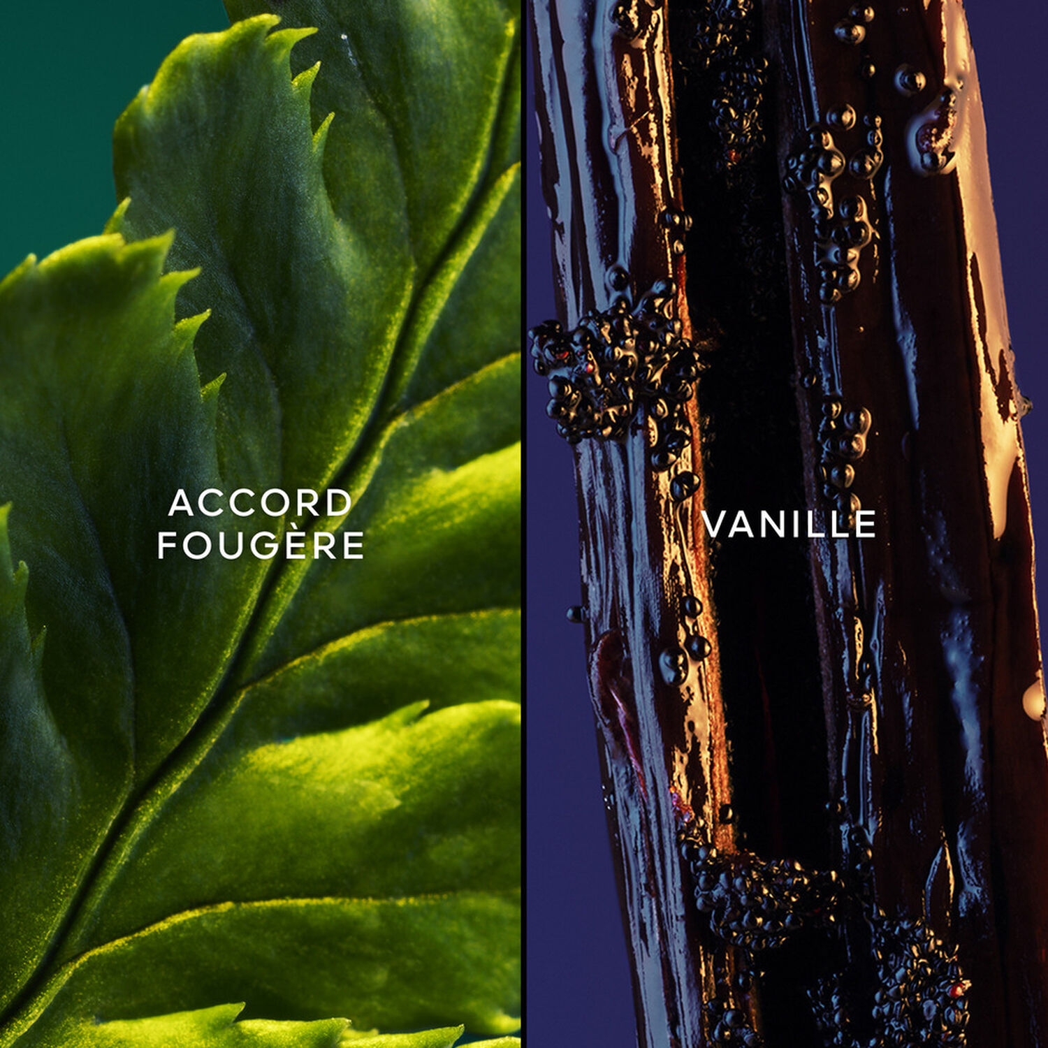 Jicky, Eau de Parfum 75 ml - Guerlain | MyOrigines Produit