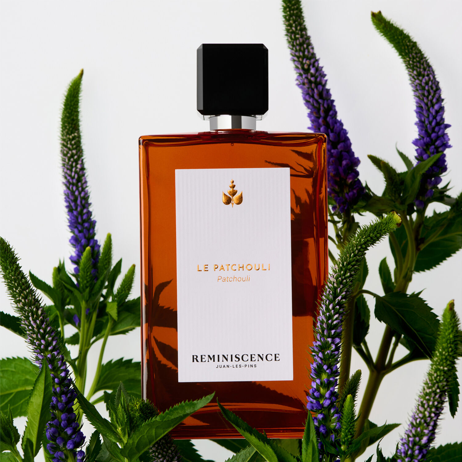 Le Patchouli, Eau de Toilette Intense - Reminiscence | MyOrigines Produit