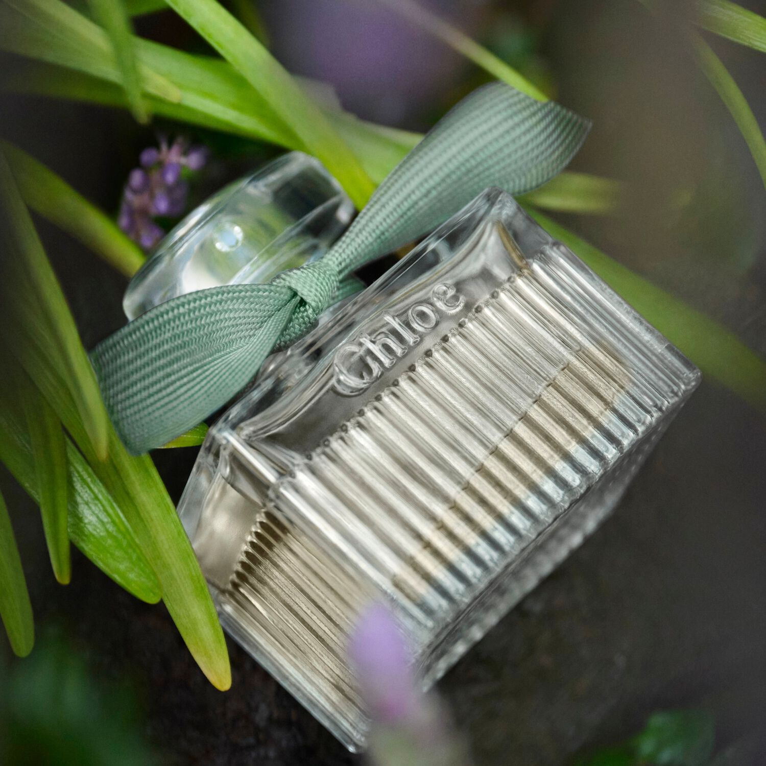 Chloé Rose Naturelle, Eau de Parfum Intense - Chloé | MyOrigines Produit