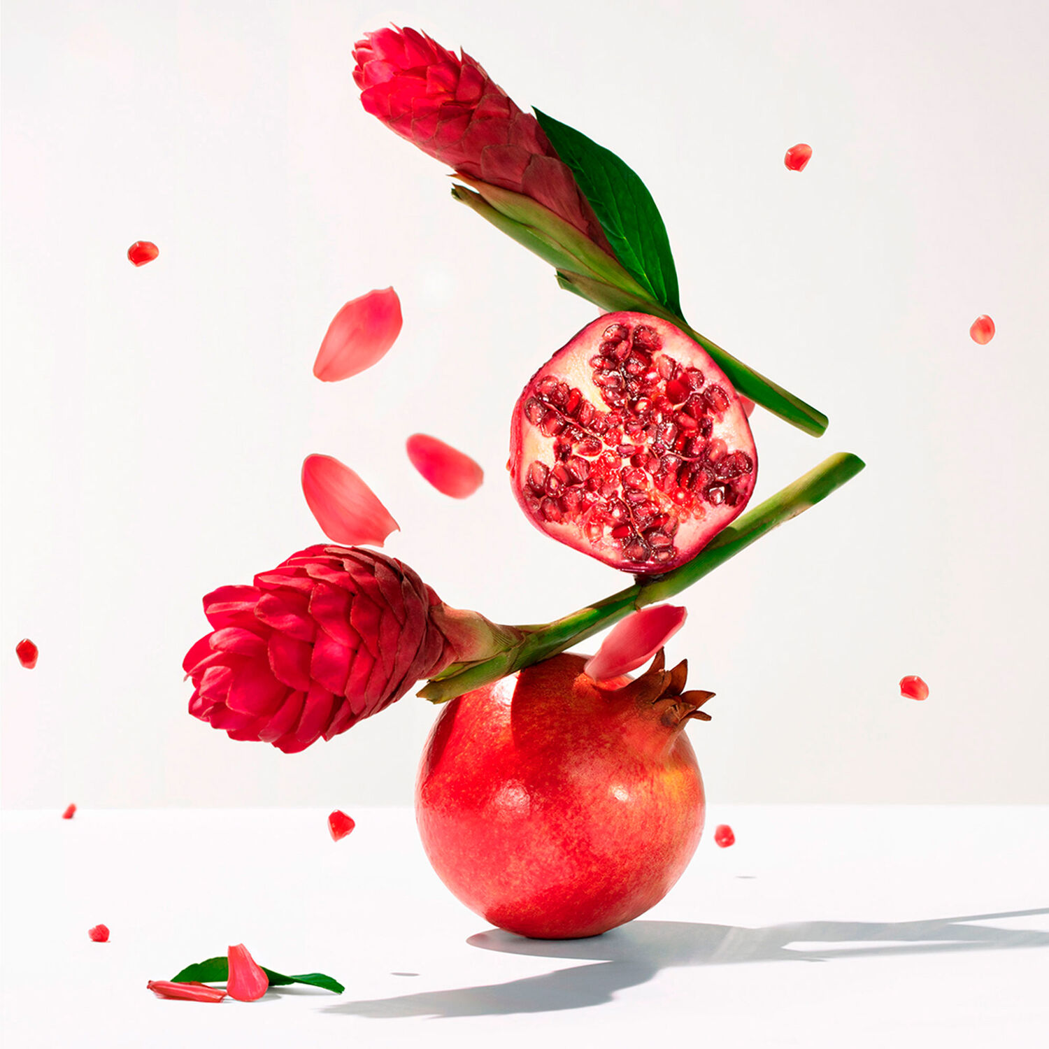 Gingembre Rouge , roger&gallet | MyOrigines