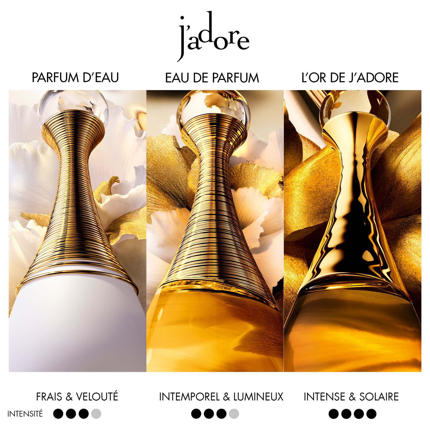 J'adore, Eau de Parfum - notes solaires et florales - Dior | MyOrigines ...