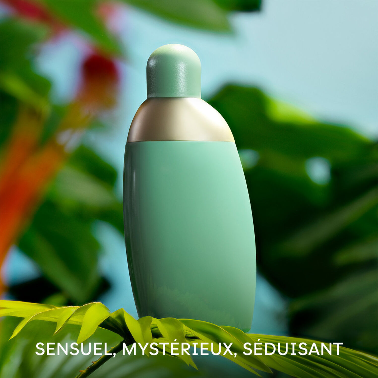 Eden, Eau de Parfum - Cacharel | MyOrigines Produit