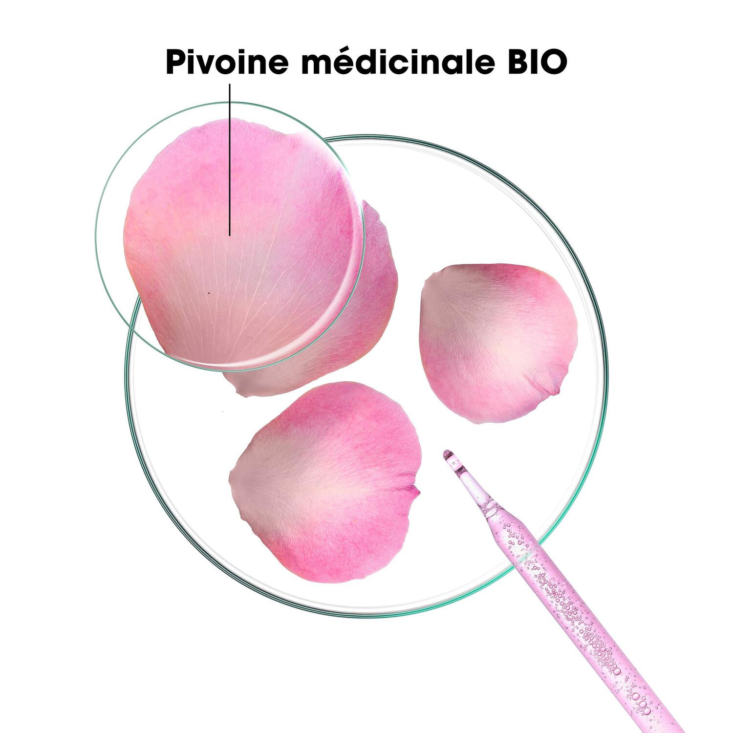 Pivoine, Shampoing Apaisant - Cuir Chevelu Sensible - Klorane ...