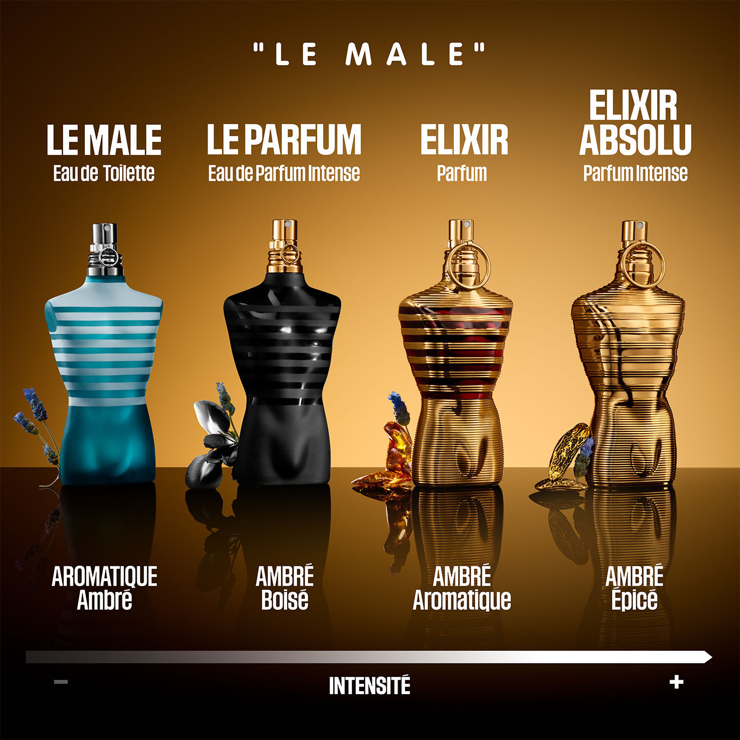 Le Male Elixir Absolu, Parfum Intenso - Jean Paul Gaultier | MyOrigines ...