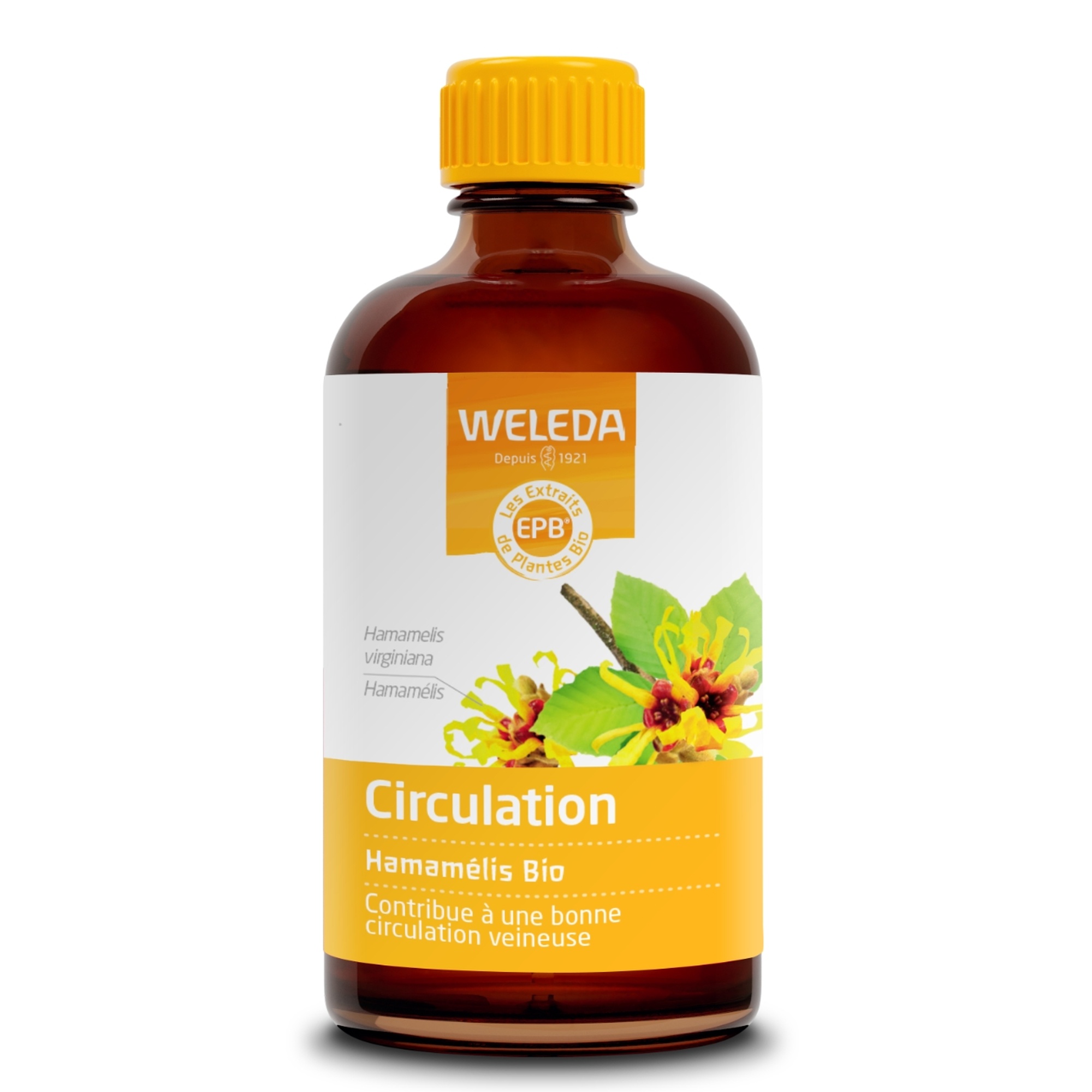 EPB® Hamamélis Bio - Circulation, Complément Alimentaire 100 ml ...